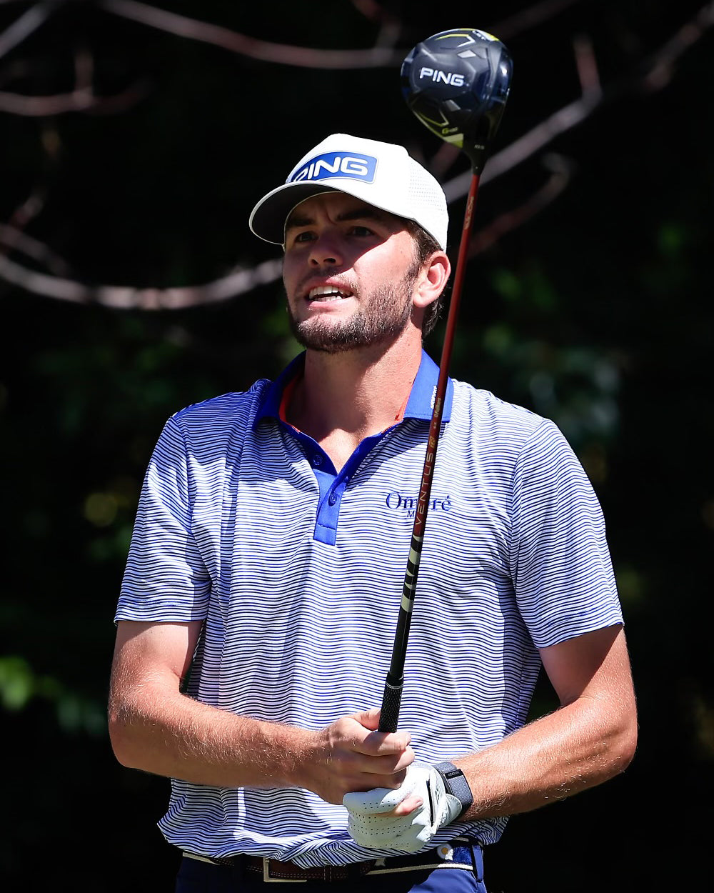 Honorables – REDVANLY