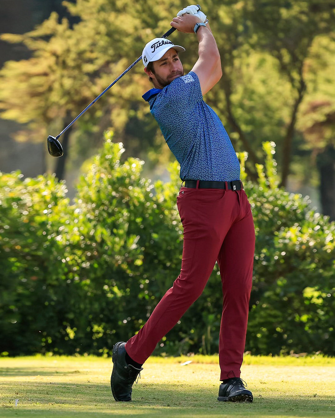 Honorables – REDVANLY