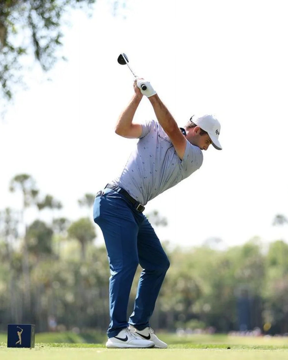 Honorables – REDVANLY